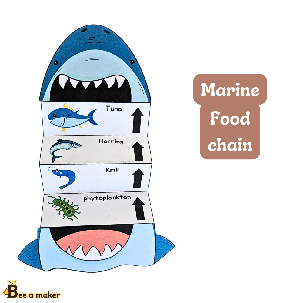 Food chain foldable pdf - Arctic food chain, Grassland food chain ...