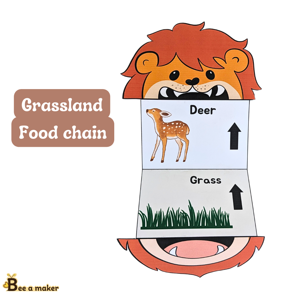 Food chain foldable pdf - Arctic food chain, Grassland food chain ...