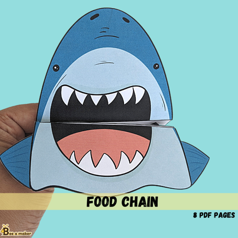 Food chain foldable pdf - Arctic food chain, Grassland food chain ...
