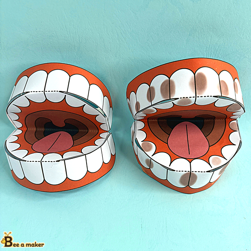 Teeth model activity with sorting healthy and unhealthy food -pdf - bee ...