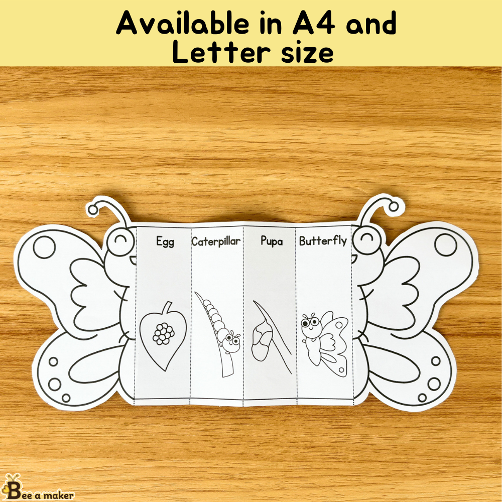 Butterfly life cycle foldable pdf - bee.a.maker