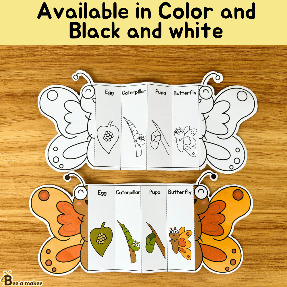 Butterfly life cycle foldable pdf - bee.a.maker