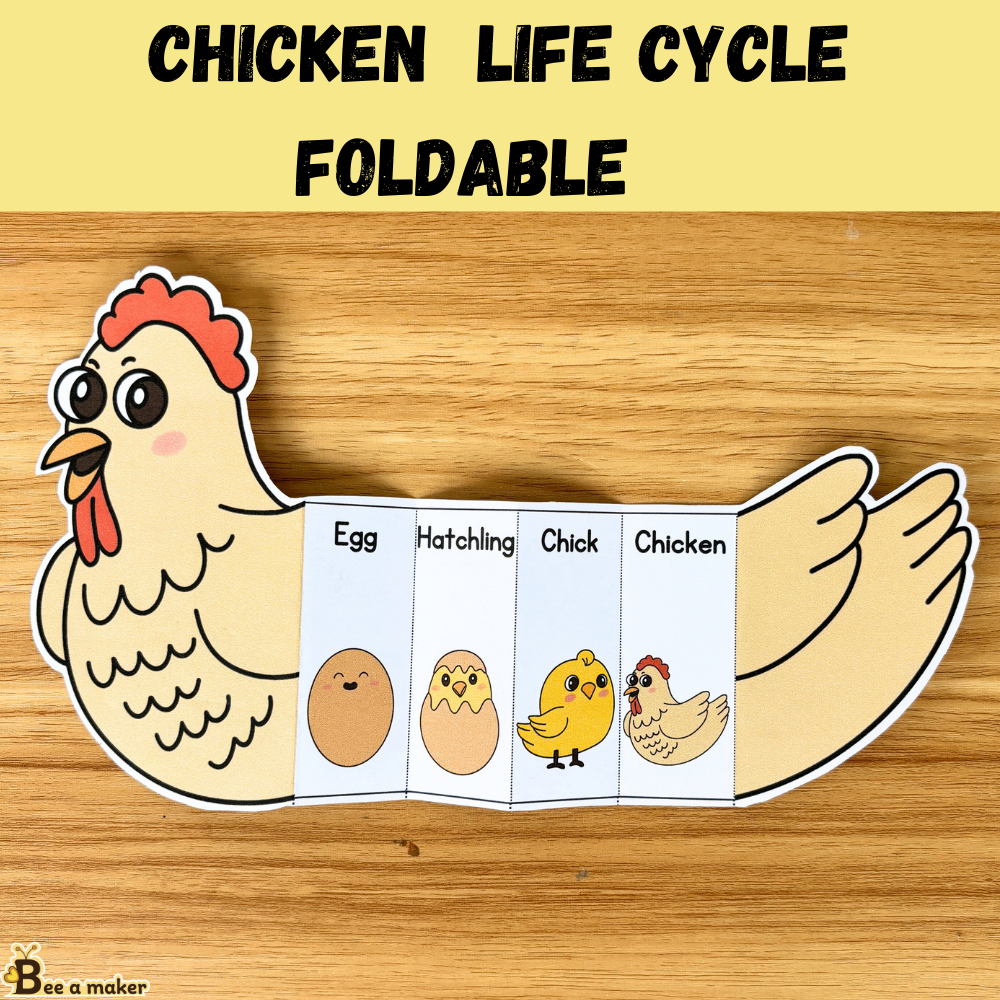 Chicken life cycle foldable pdf - bee.a.maker