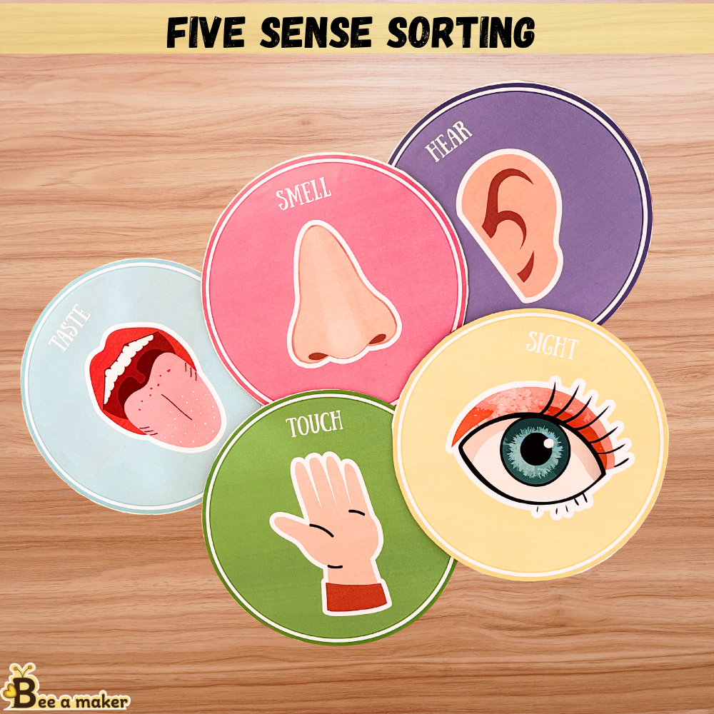 Five sense sorting activity pdf - bee.a.maker